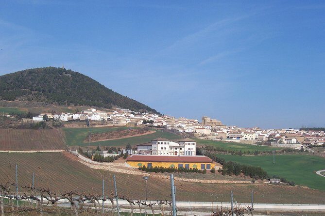 Olive oil and Navarre winery visit with tastings and lunch in small group tour - FAQ