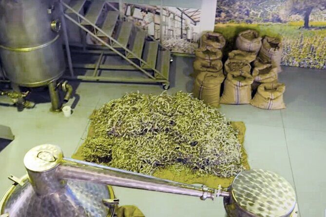 Olive Oil Cosmetic Factory- Spinalonga - Elounda - Agios Nikolaos - Introduction: An Authentic Crete Experience