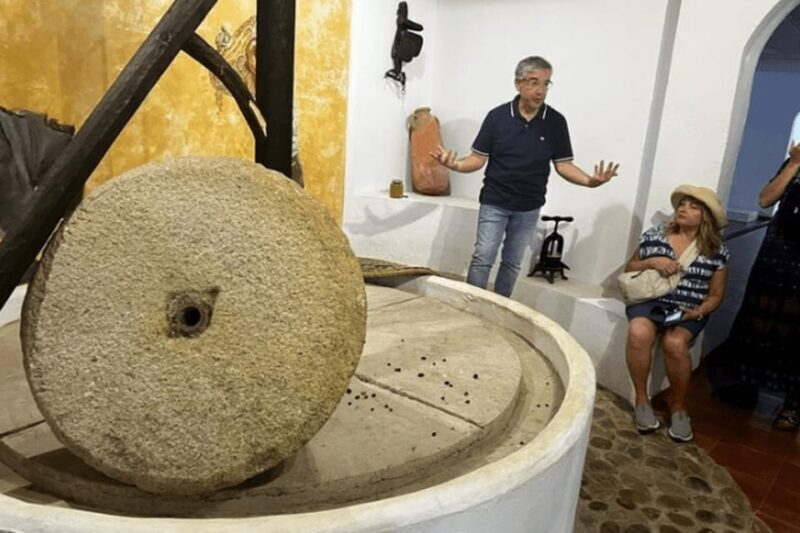 Olive Oil Factory from Sevilla Private Tour - An Introduction to the Tour