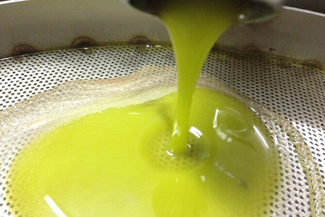 Olive Oil Mill experience and tasting in Salento with Guide - Who Will Love This Olive Oil Tour?