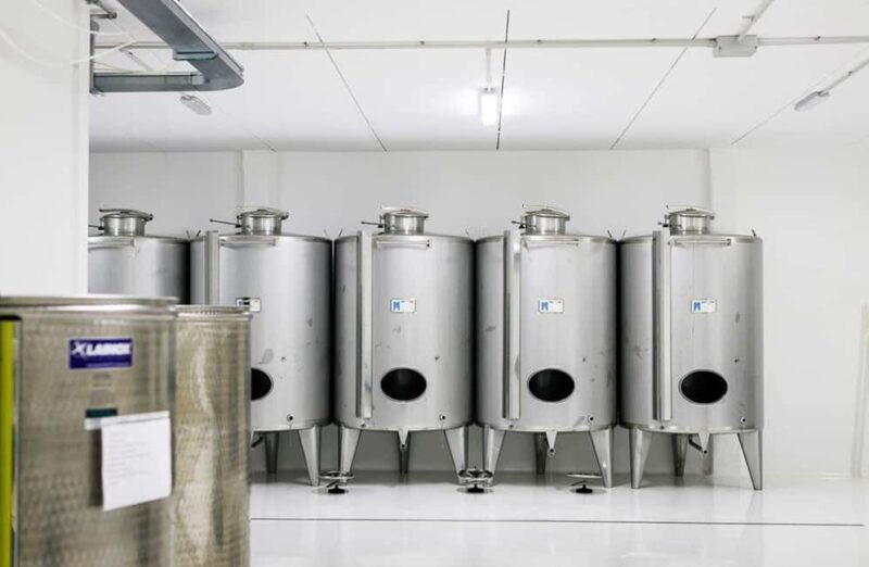 Olive Oil Mill Tour with Tasting near Bari - An in-depth look at the experience