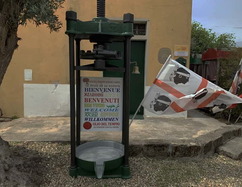 Olive Oil Museum: Extravirgin school - Food & wine tasting - Key Points