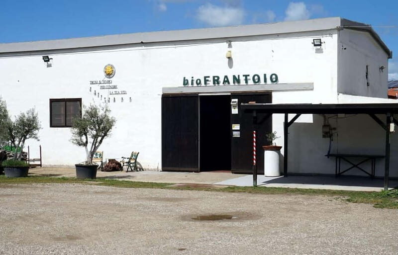 Olive Oil Museum: Extravirgin school - Food & wine tasting - A Closer Look at the Experience