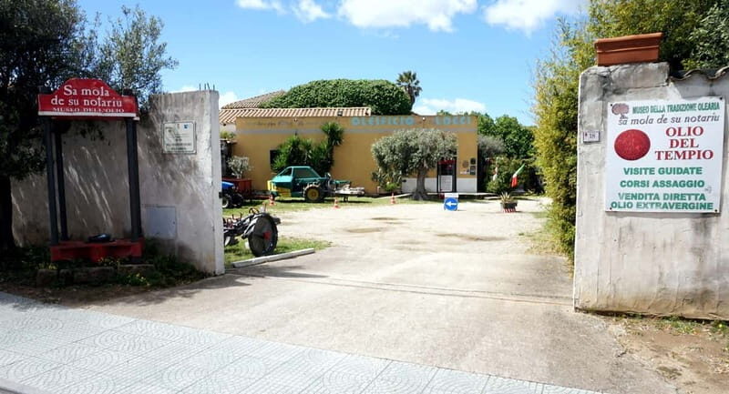 Olive Oil Museum: Extravirgin school - Food & wine tasting - Final Thoughts: Who Will Love This?