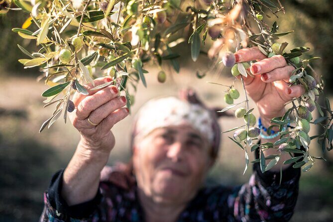 Olive Oil Private Tour in Portugal - FAQ