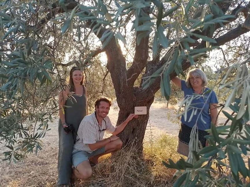 Olive Oil Seminar with Tasting in Metaggitsi - Halkidiki. - Authenticity and Experience Based on Reviews