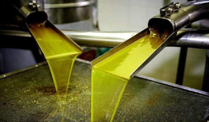 Olive oil Tasting 3-hour Trip from Chania Souda Cruise Port - A Deep Dive into the Experience