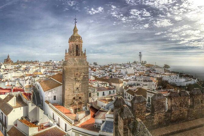 Olive Oil Tasting and Culinary Day Trip in Carmona - Why This Trip Stands Out
