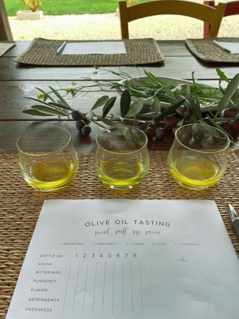 Olive oil tasting and olive grove walking tour - Who Should Take This Tour?