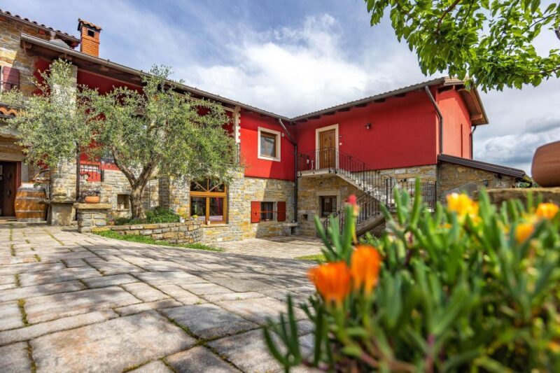 Olive Oil Tasting Experience a Journey of Flavors and Aromas - Transportation & Accessibility