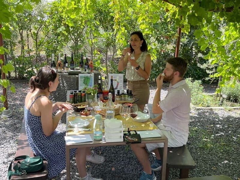 Olive Oil Tasting Experience in Nicolosi - Who Should Consider This Tour?