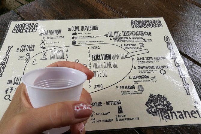 Olive Oil tour with Tuscan dinner - Key Points