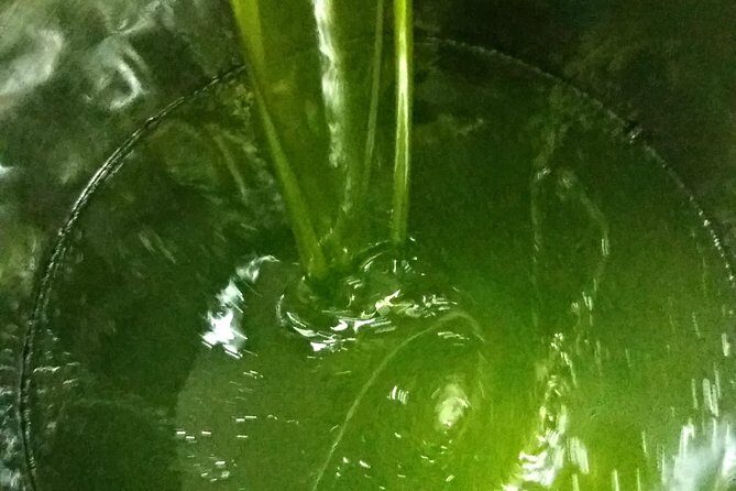 Olive Oil tour with Tuscan dinner - Who Will Love This Tour?