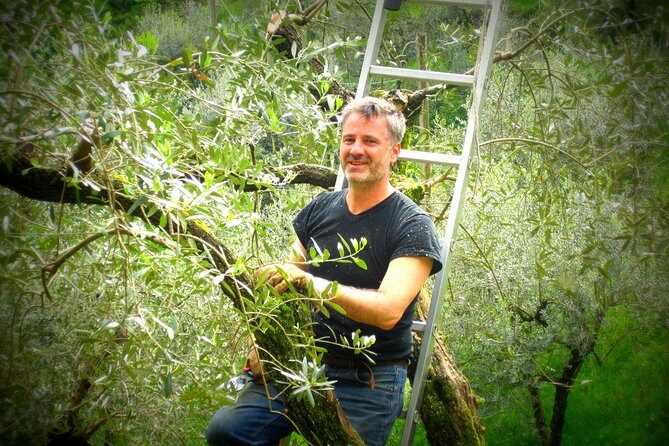 Olive Oil tour with Tuscan dinner - FAQ