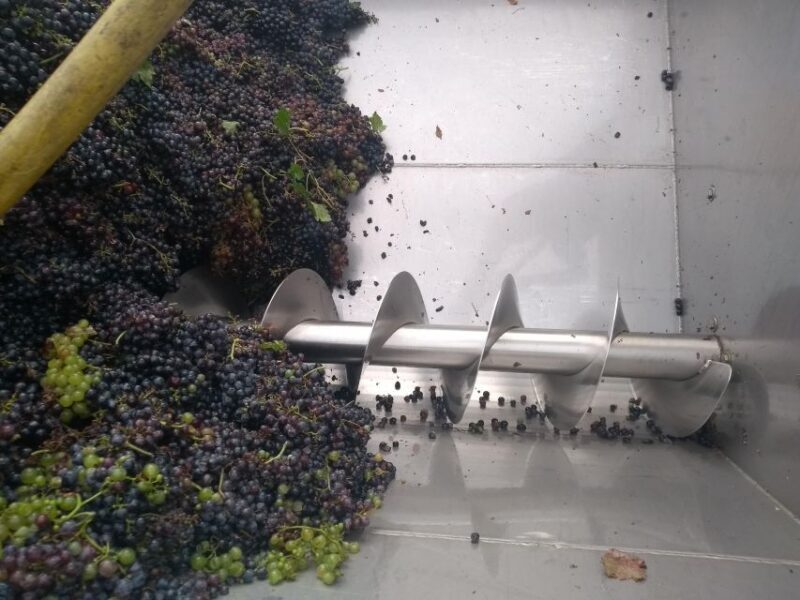 Olive Oil & Wine in the Euganean Hills From Terme - An In-Depth Look at the Euganean Hills Tour Experience