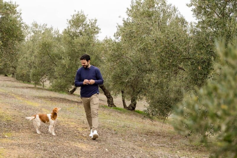 OLIVE OIL & WINE TOUR Organic fields - 5 Wines + 3Olive Oils - Analyzing the Value