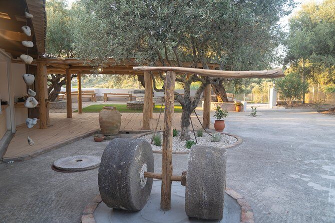 Olive Tour & Tasting - An In-Depth Look at the Olive Tour & Tasting