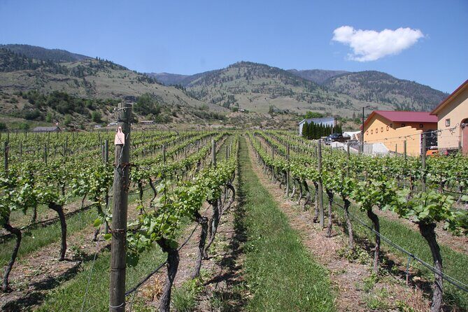 Oliver & Osoyoos Private Wine Tour - Half Day - Exploring the itinerary: a detailed breakdown