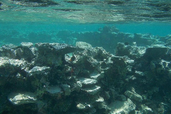 Olous  Guided Snorkelling Excursion to Discover Olous Sunken Ancient City - Post-Snorkel & Return