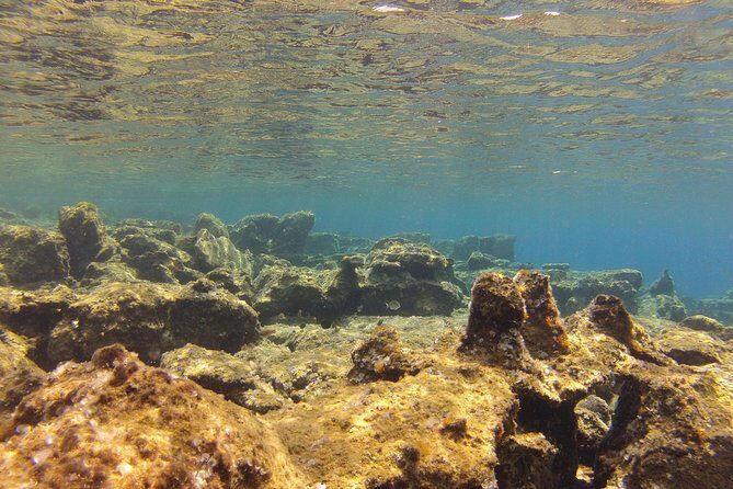 Olous  Guided Snorkelling Excursion to Discover Olous Sunken Ancient City - Practical Details & Value