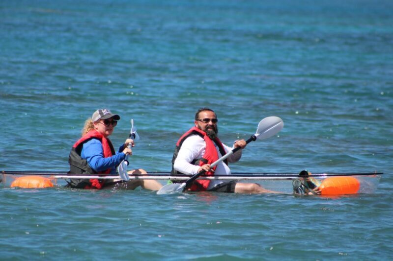 Olowalu: Guided Clear Kayak Tour - Unlimited - Overview of the Experience