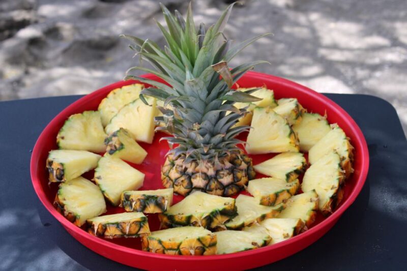 Olowalu: Guided Clear Kayak Tour - Unlimited - FAQ