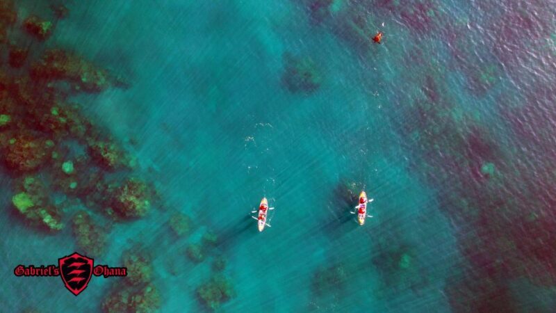 Olowalu: Guided Clear Kayak Tour - Unlimited - The Value and Practicalities