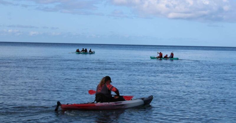 Olowalu: Guided Kayak and Snorkeling Tour - Unlimited - What Makes This Tour Stand Out
