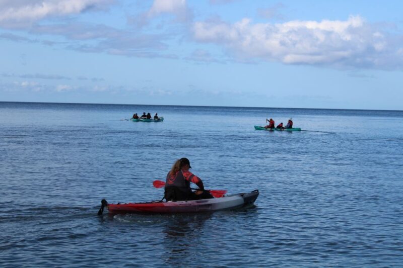 Olowalu: Guided Kayak and Snorkeling Tour - Unlimited - Pricing and Value