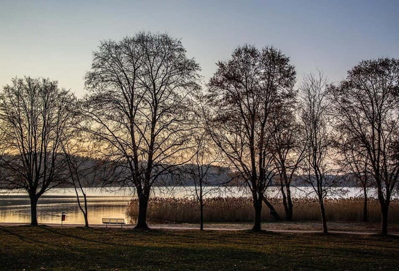 Olsztyn: Private Guided City Tour - Detailed Breakdown: What You’ll Love and What to Watch For
