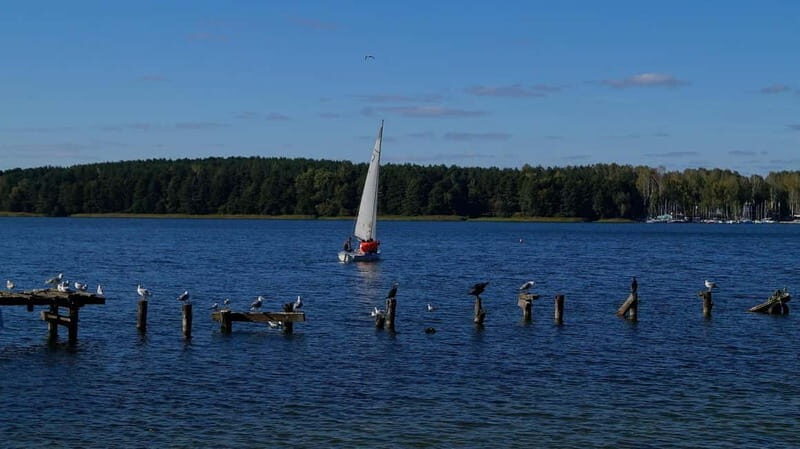 Olsztyn: Private Guided City Tour - Authentic Guest Perspectives and Practical Tips