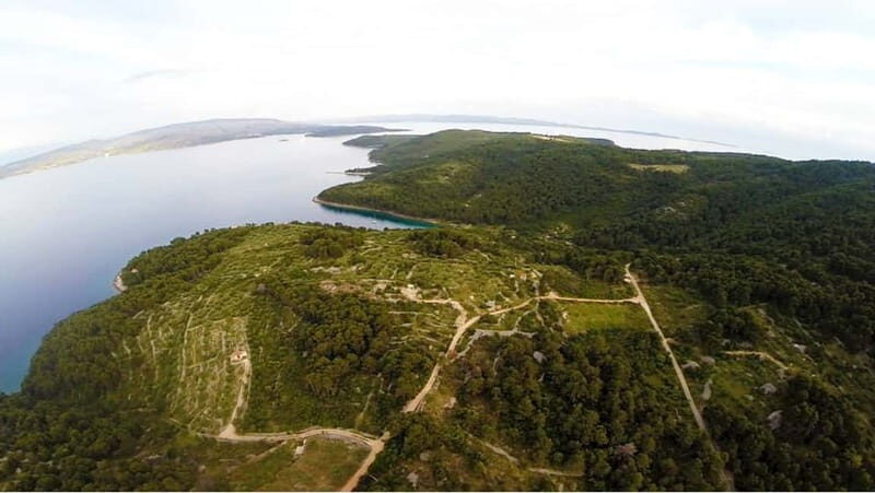 olta Island: Self-Guided Bike Tour - Pricing and Value