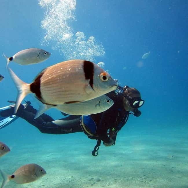 Oludeniz Half Day Scuba Diving Program - A Quick Overview: What You Need to Know