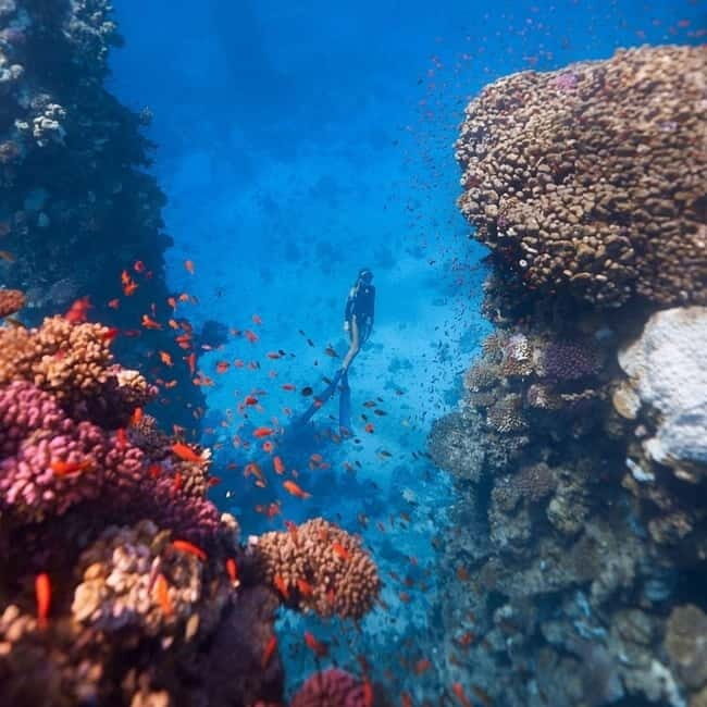 Oludeniz Half Day Scuba Diving Program - Final Thoughts: Is It Worth It?