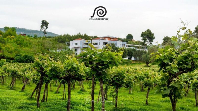 Olympia Treasures: Private Oil, Honey and Wine Tasting Tour - Key Points
