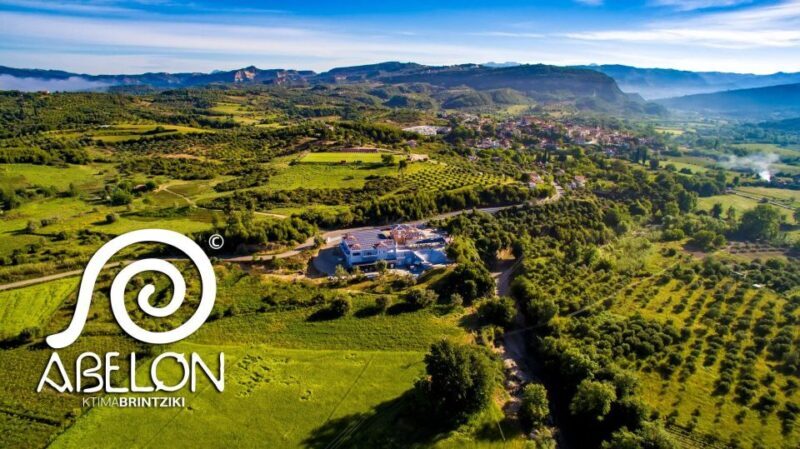 Olympia Treasures: Private Oil, Honey and Wine Tasting Tour - Authentic Experiences You’ll Take Home