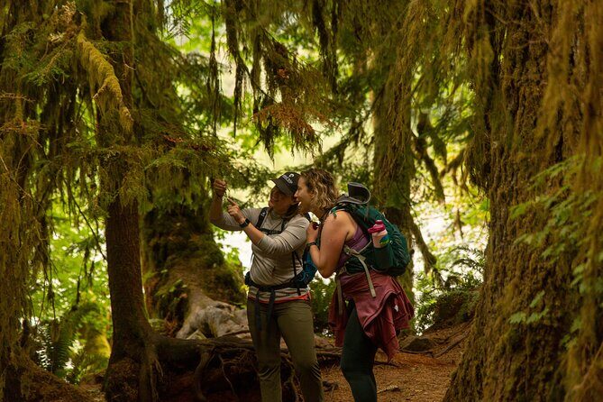 Olympic Full Day Private Tour and Hike - An In-Depth Look at the Olympic National Park Full-Day Tour