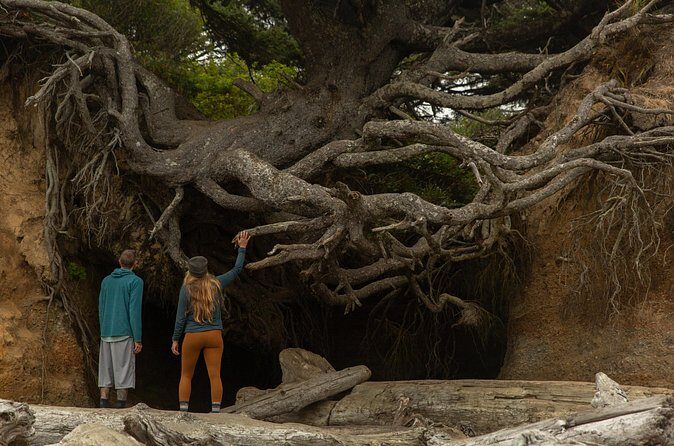 Olympic Full Day Small Group Tour & Hike - FAQ