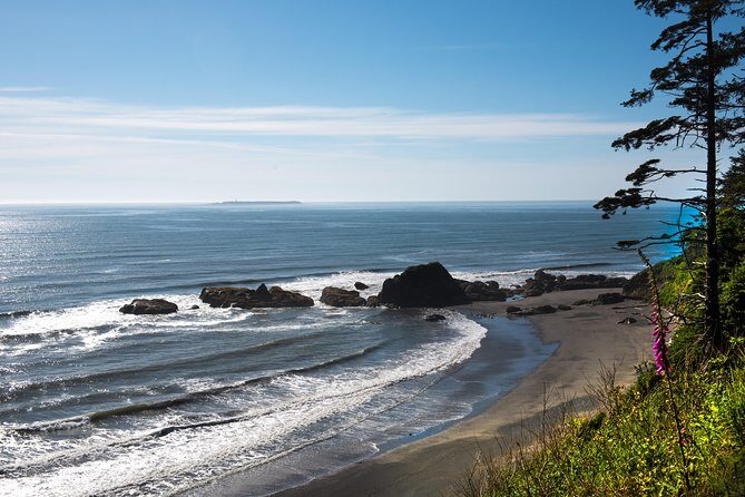 Olympic National Park Day Tour from Seattle - The Heart of the Experience: A Detailed Look at the Tour Itinerary