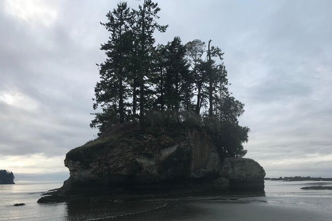 Olympic National Park Day Tour from Seattle - The Value Proposition: Is It Worth the Price?