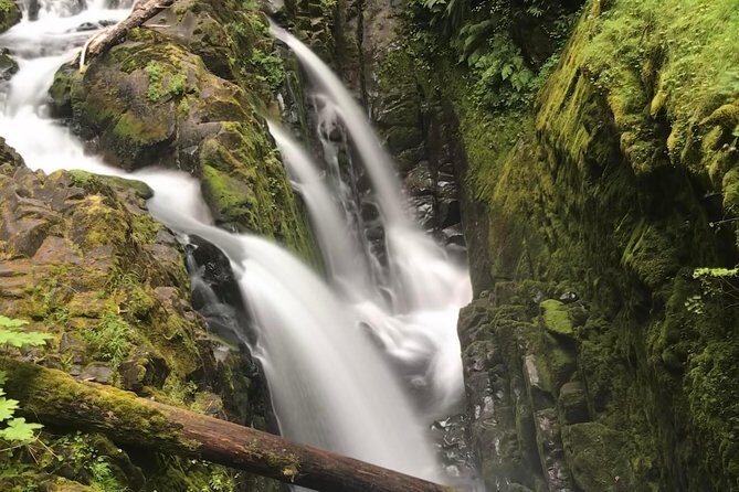 Olympic National Park Day Tour from Seattle - Summary of the Experience