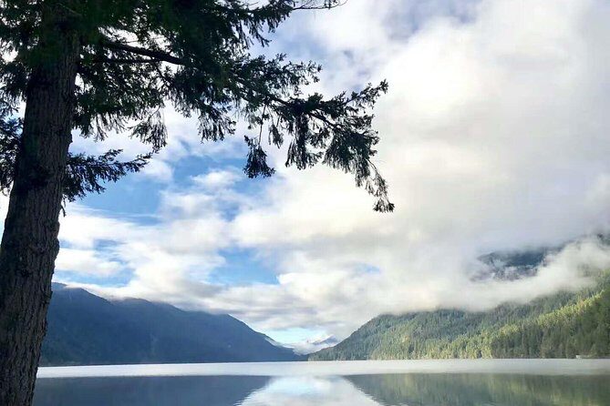 Olympic National Park Full-Day Tour W/ Scenic State Ferries - An In-Depth Look at the Experience