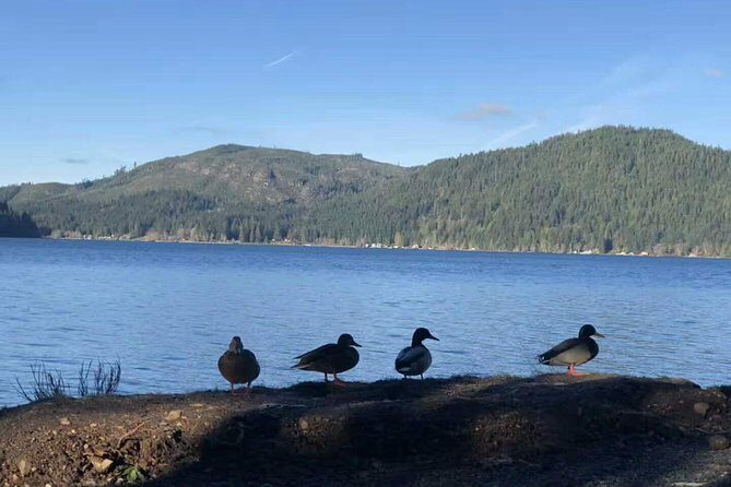 Olympic National Park Full-Day Tour W/ Scenic State Ferries - Who Would Love This Tour?