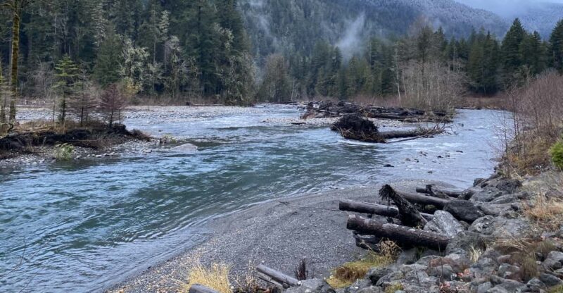 Olympic National Park: Half-Day Tour - A Well-Balanced Introduction to Olympic National Park
