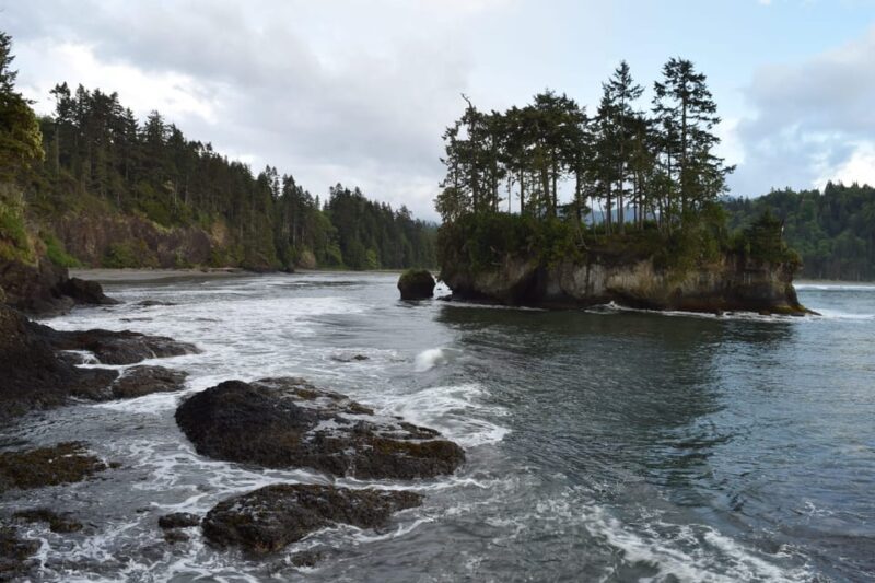 Olympic National Park: Half-Day Tour - FAQ