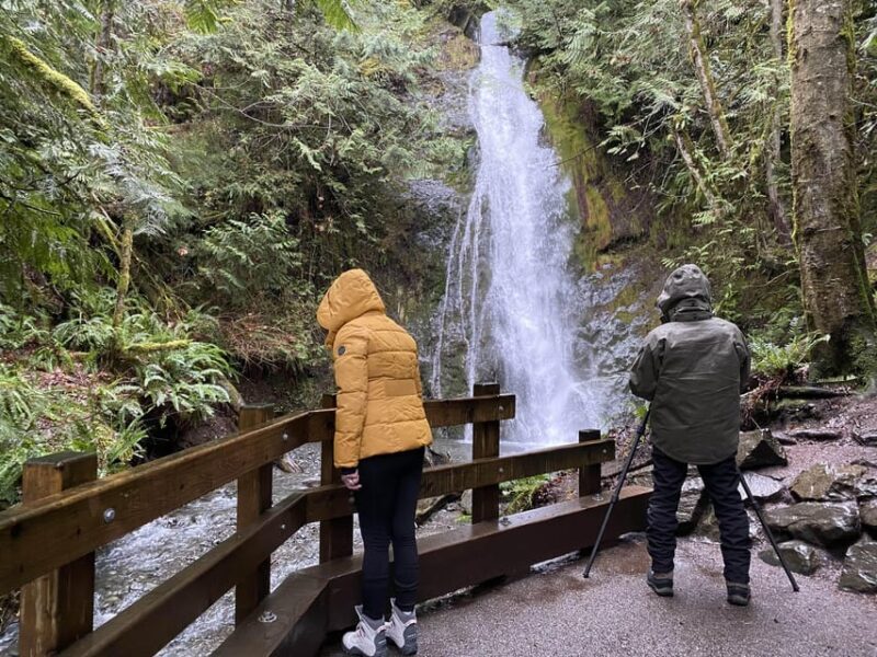 Olympic National Park: Half-Day Tour - A Quick Look at What You’ll Experience