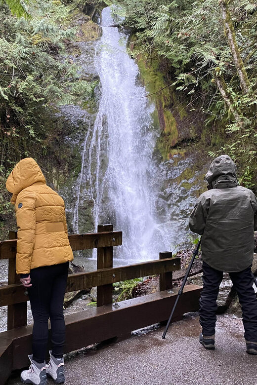 Olympic National Park: Half-Day Tour - The Value of a Guided Half-Day Experience