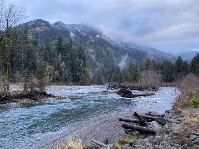 Olympic National Park: Half-Day Tour - Authentic Experiences and Traveler Feedback