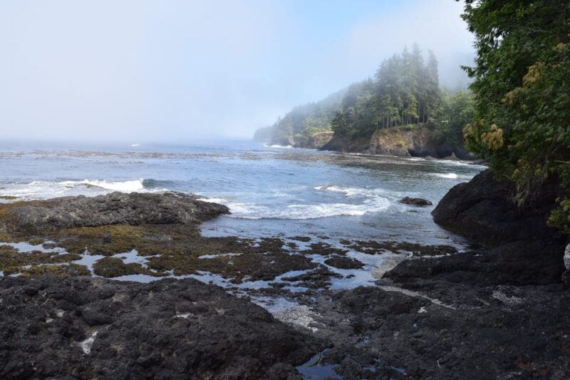 Olympic National Park: Half-Day Tour - FAQ