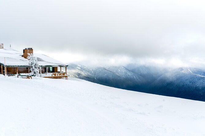 Olympic National Park Self-Guided Driving Audio Tour - What Makes This Tour a Good Value?